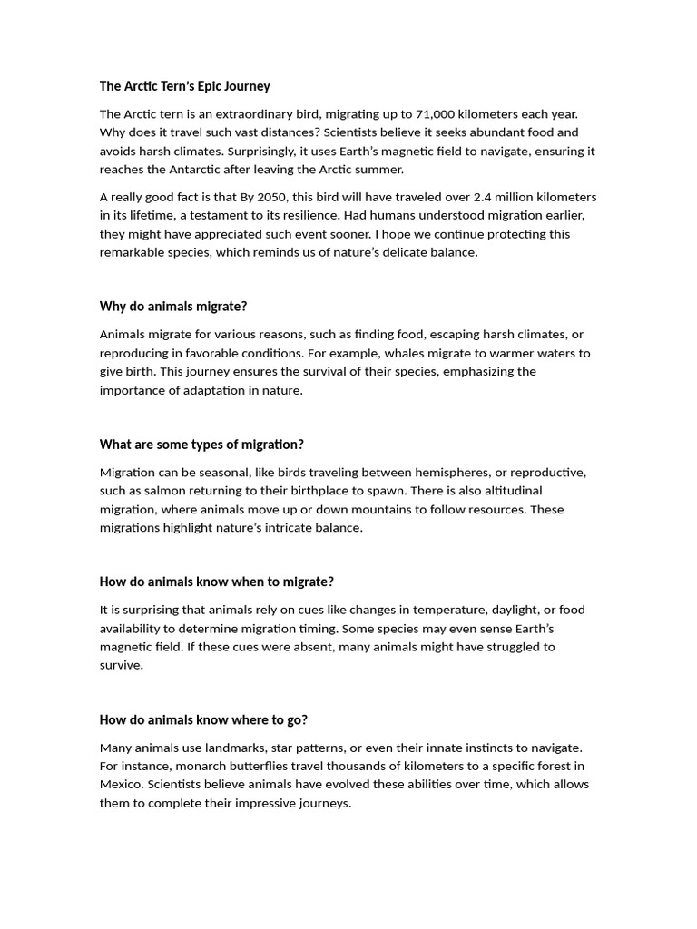 Arctic Tern Migration Explained | PDF