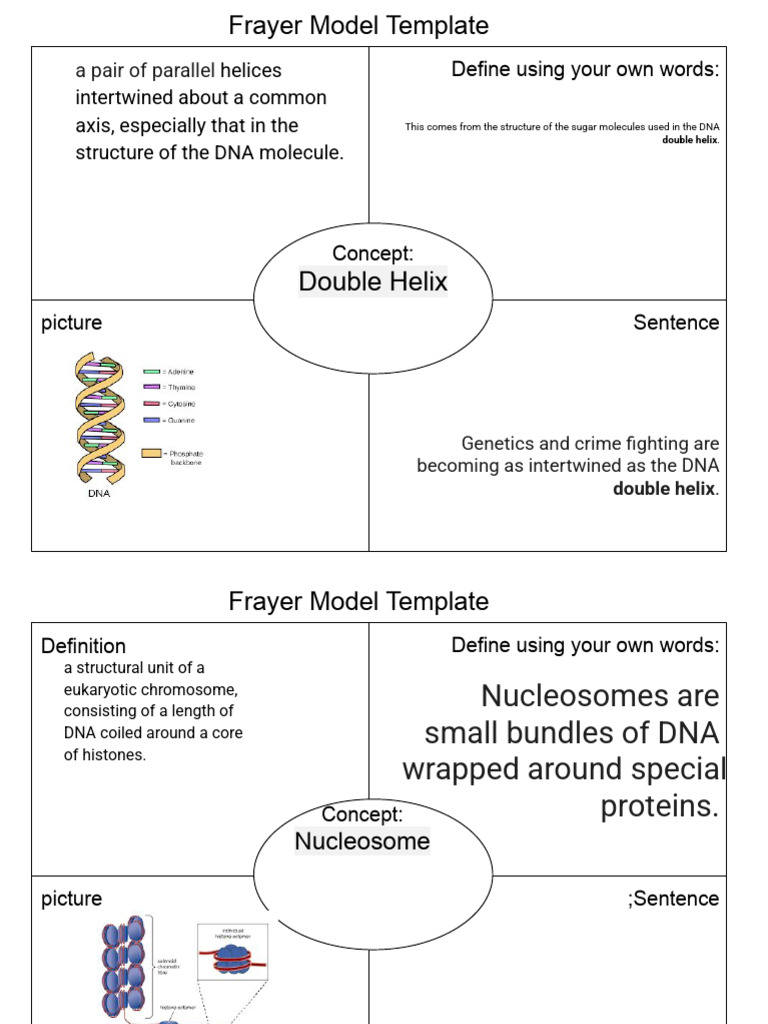 Jah'mari Mayes - Frayer Model Template | PDF | Dna | Rna