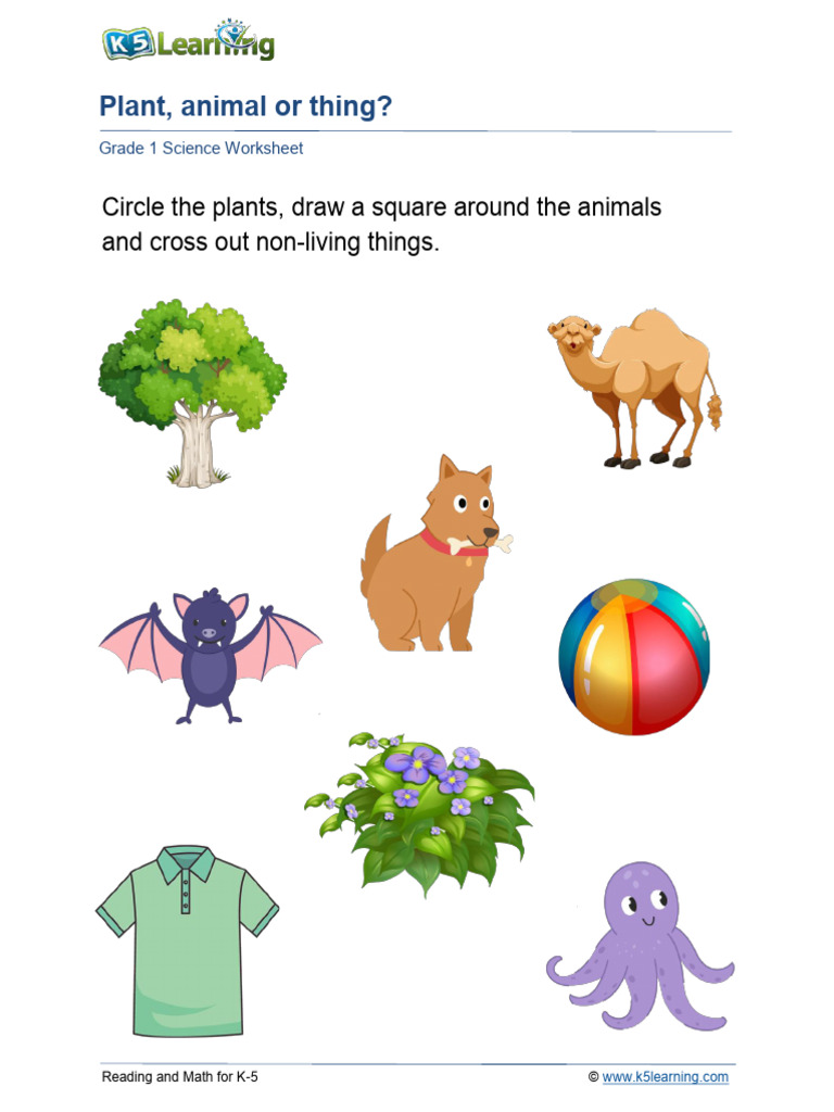 Grade 1 Science: Plant, Animal, Thing | PDF