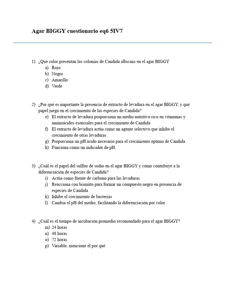 Agar BIGGY Cuestionario Eq6 5IV7-2 | PDF
