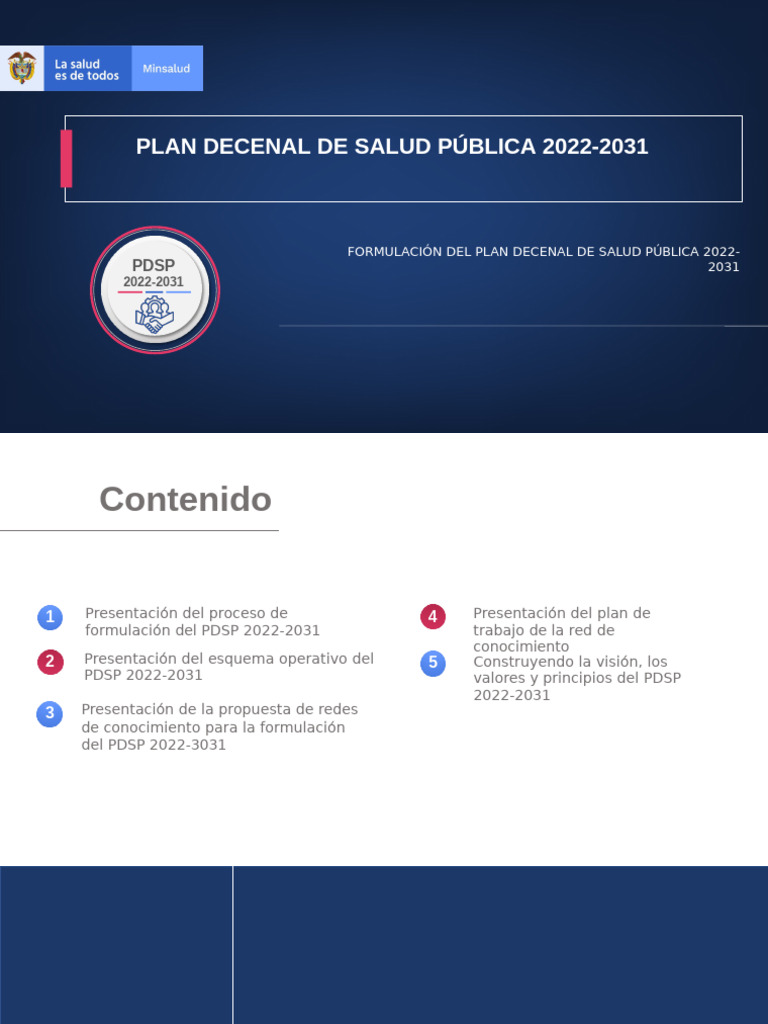 Plan Decenal de Salud Publica | PDF | Salud pública | Capital social