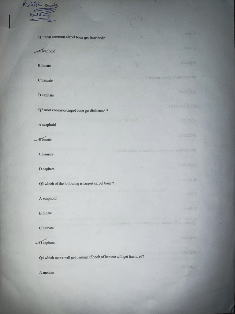 Anatomy Imp Ques | PDF