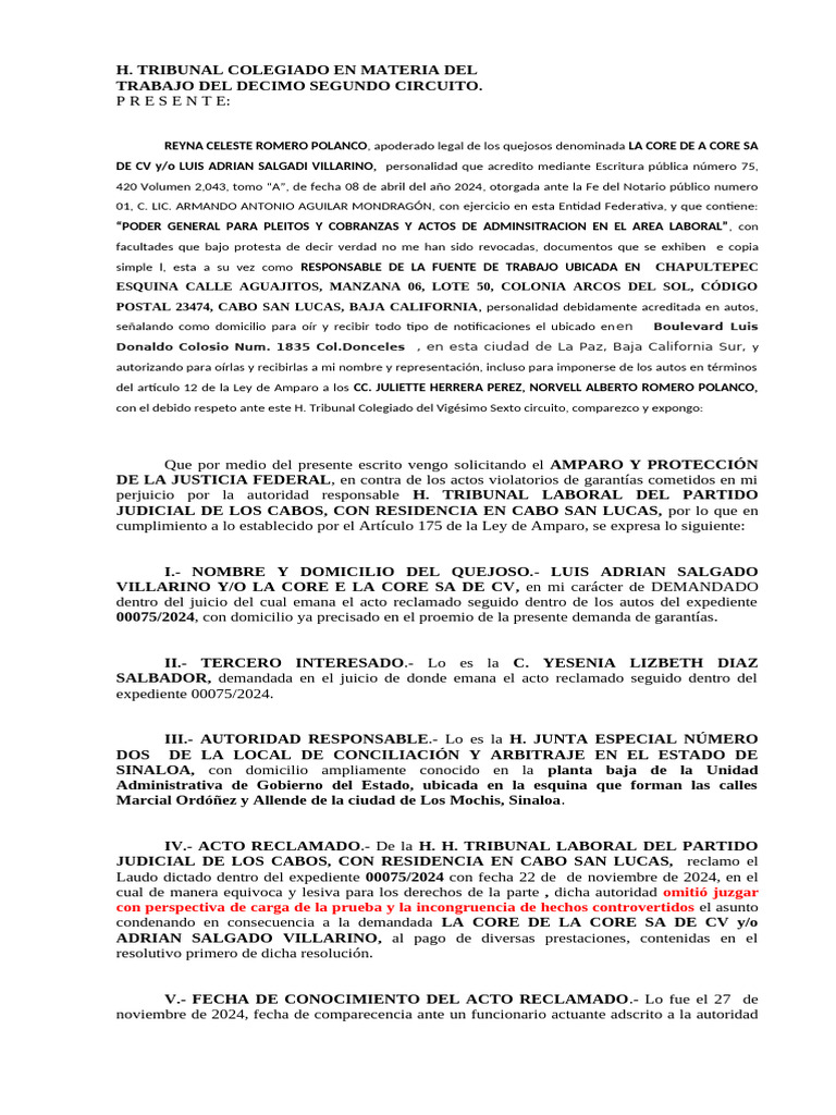 Demanda de Amparo Directo VS Laudo Laboral Formato | PDF | Derecho laboral | Caso de ley