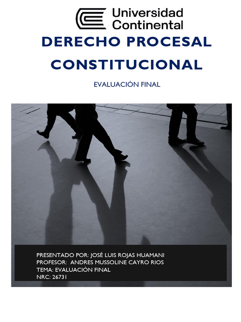 Exámen Final Derecho Procesal Constitucional | PDF | Ley Pública | Gobierno