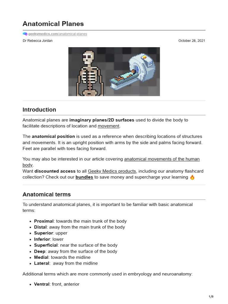 Understanding Anatomical Planes | PDF | Anatomical Terms Of Location