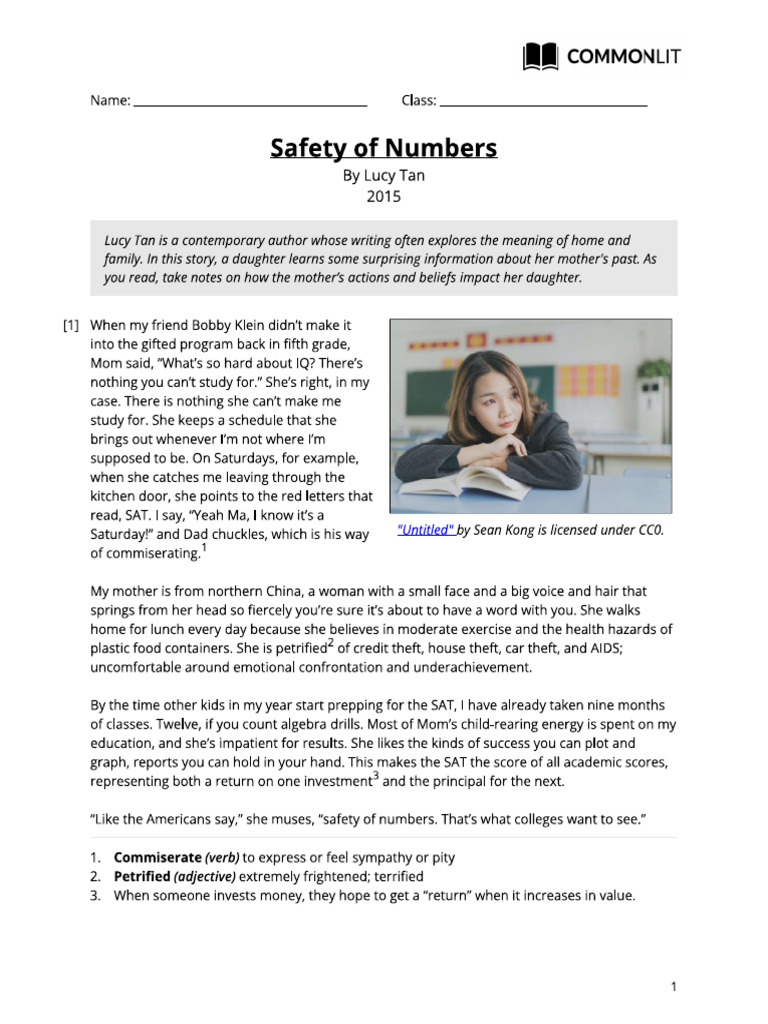 Safety of Numbers by Lucy Tan | PDF