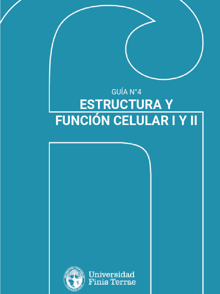 Guia - 04 - Estrcutura y Funcion Celular I y Ii | PDF | Biología ...