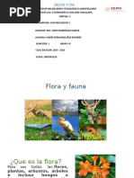 Flora y Fauna Queretaro | PDF
