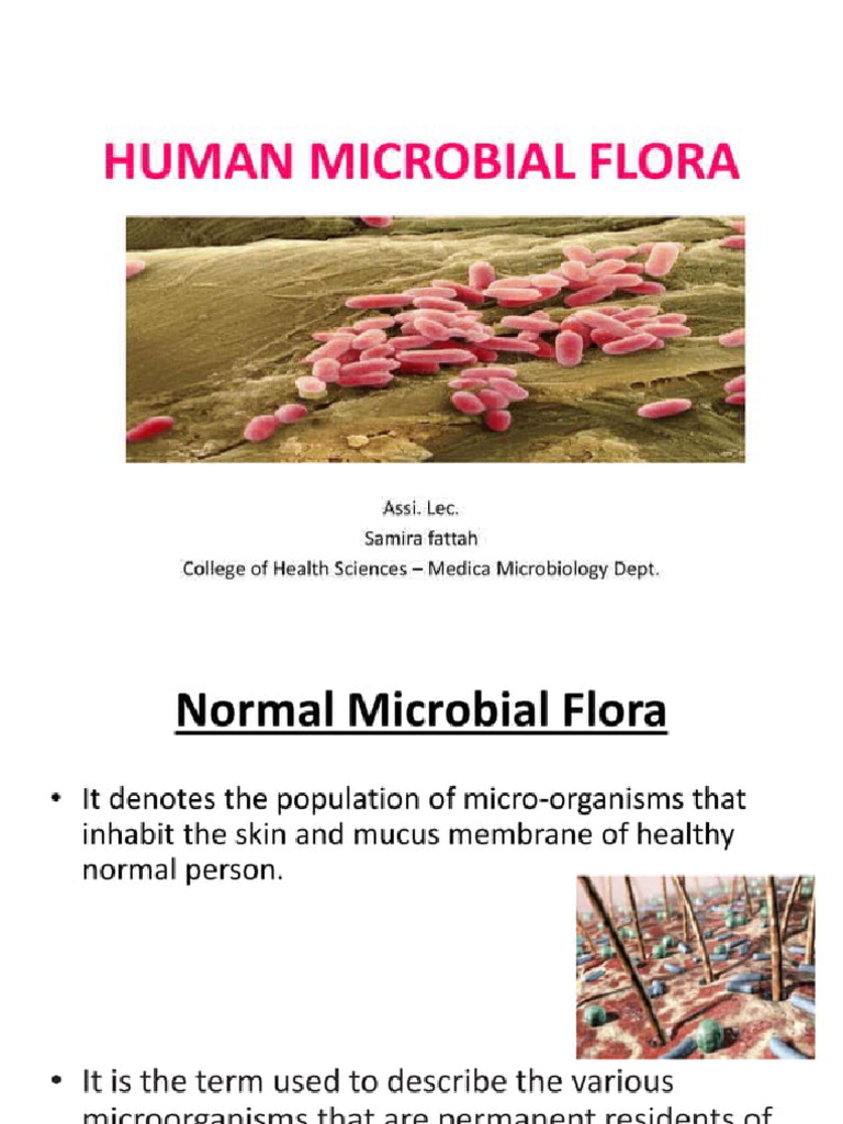 Human Microbial Flora 134178542 | PDF