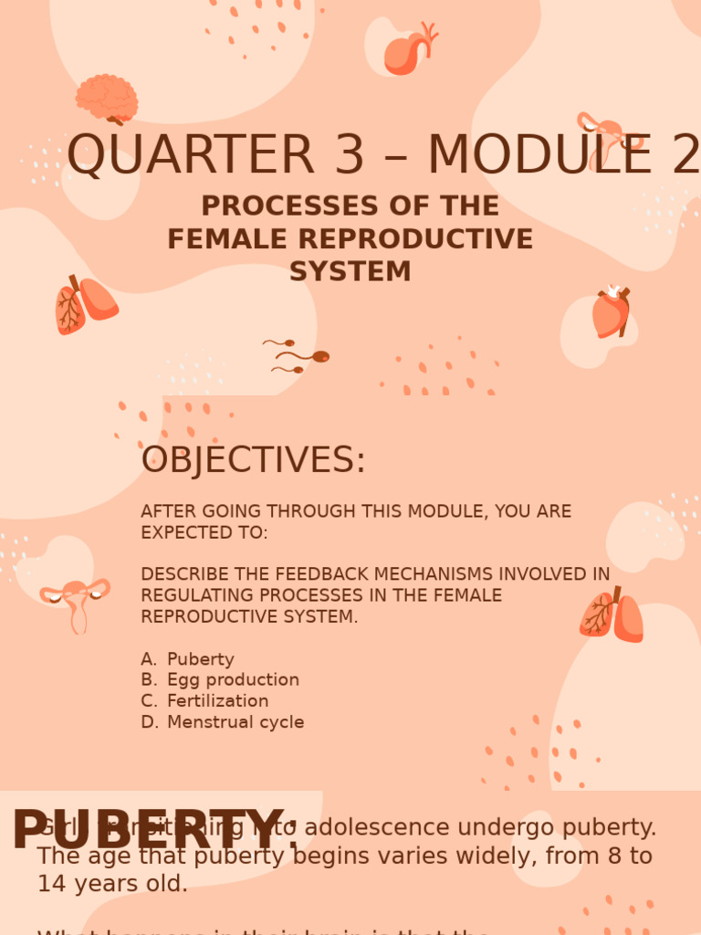 Module 2 Quarter 3 Science | PDF | Menstrual Cycle | Ovary