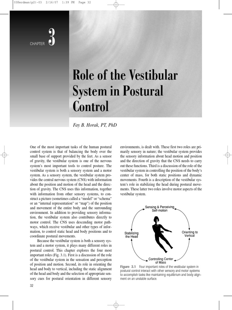 CHAPTER 3. Role of The Vestibular System in Postural Control | PDF | Vestibular System | Balance ...