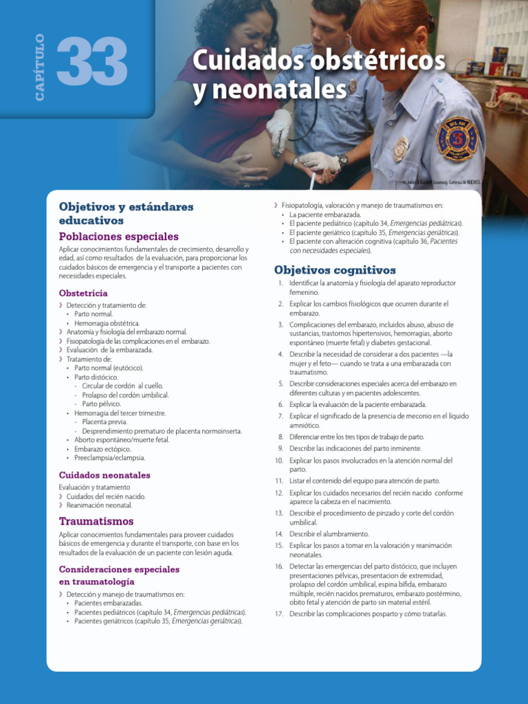 Cuidados Obstétricos y Neonatales: Objetivos y Estándares Educativos ...