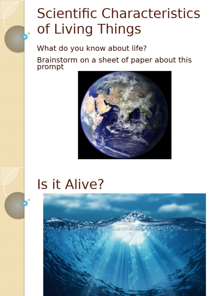 Scientific Characteristics of Living Things | PDF | Life | Evolution