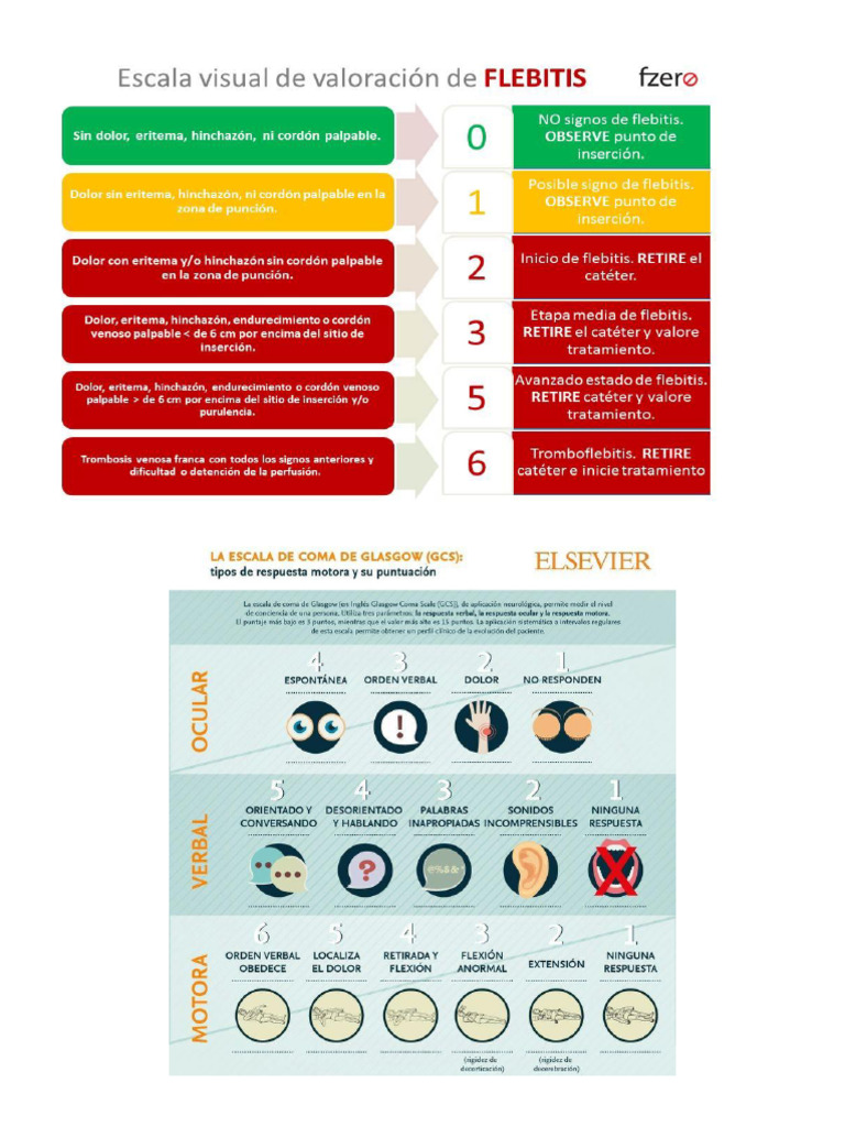 Escalas de Valoracion | PDF