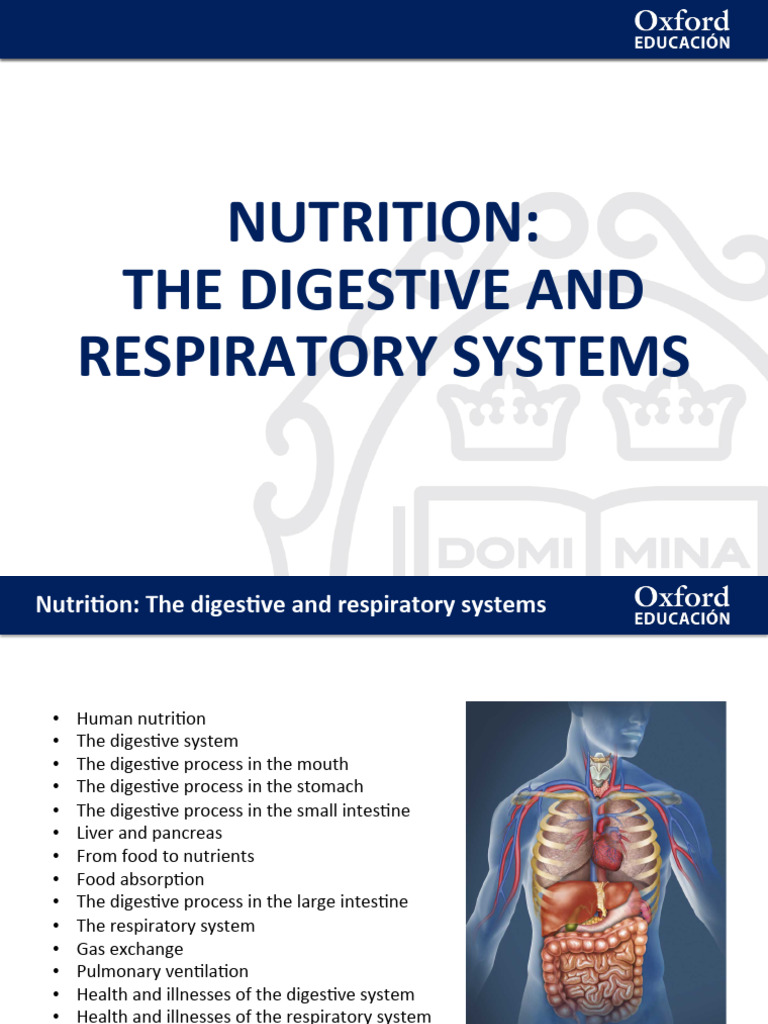 digestive_system_presentation_073411 | PDF | Human Digestive System ...