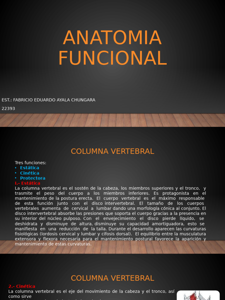 Anatomia Funcional | PDF | La columna vertebral | Pelvis