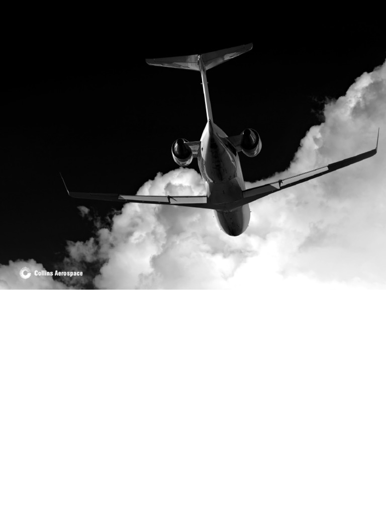 Collins ARINCDirect - NextGen Flight Support Services | PDF | Airport ...