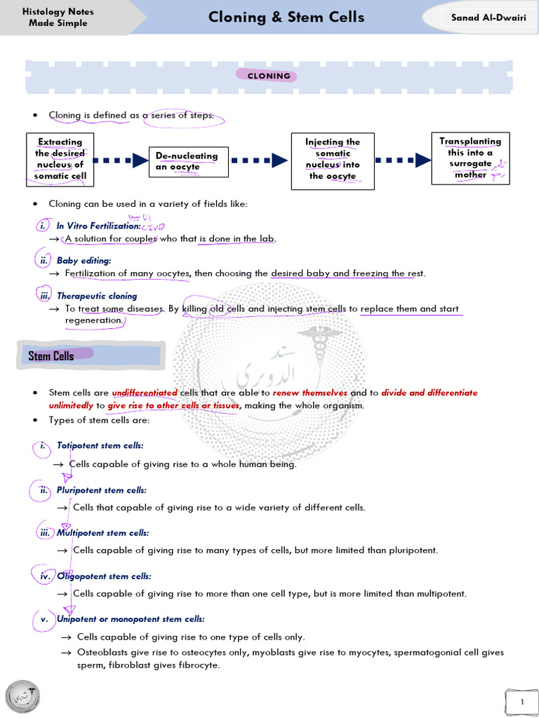 Cloning & Stem Cells Final | PDF | Cell Potency | Embryo