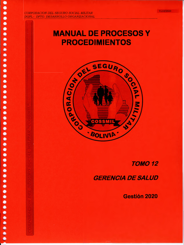 Manual de Procesos y Procedimientos TOMO 12 Gerencia de Salud | PDF | Auditoría | Planificación