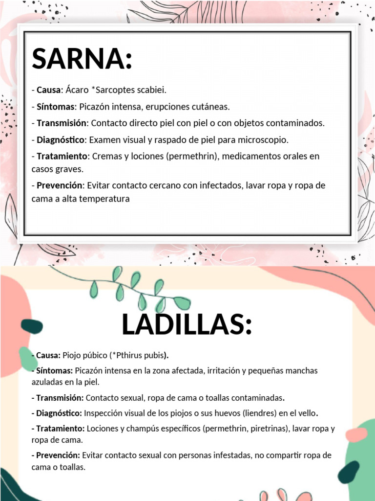 ELIANA VASQUEZ | PDF