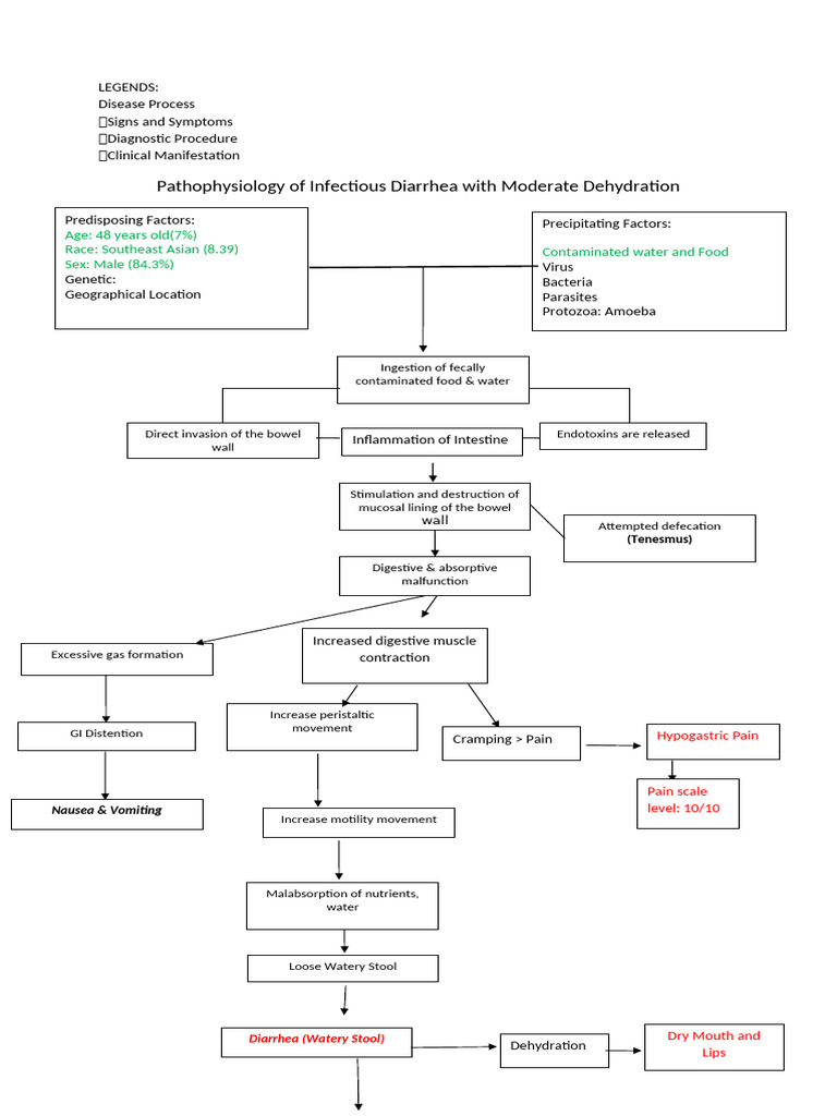 Pathophysiology For Diarrhea | PDF | Diarrhea | Gastrointestinal Tract