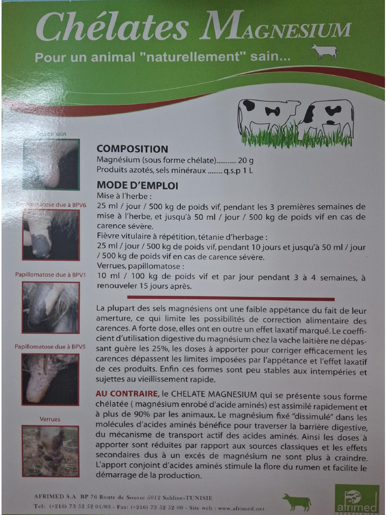 Notice Chélates Magnesium | PDF
