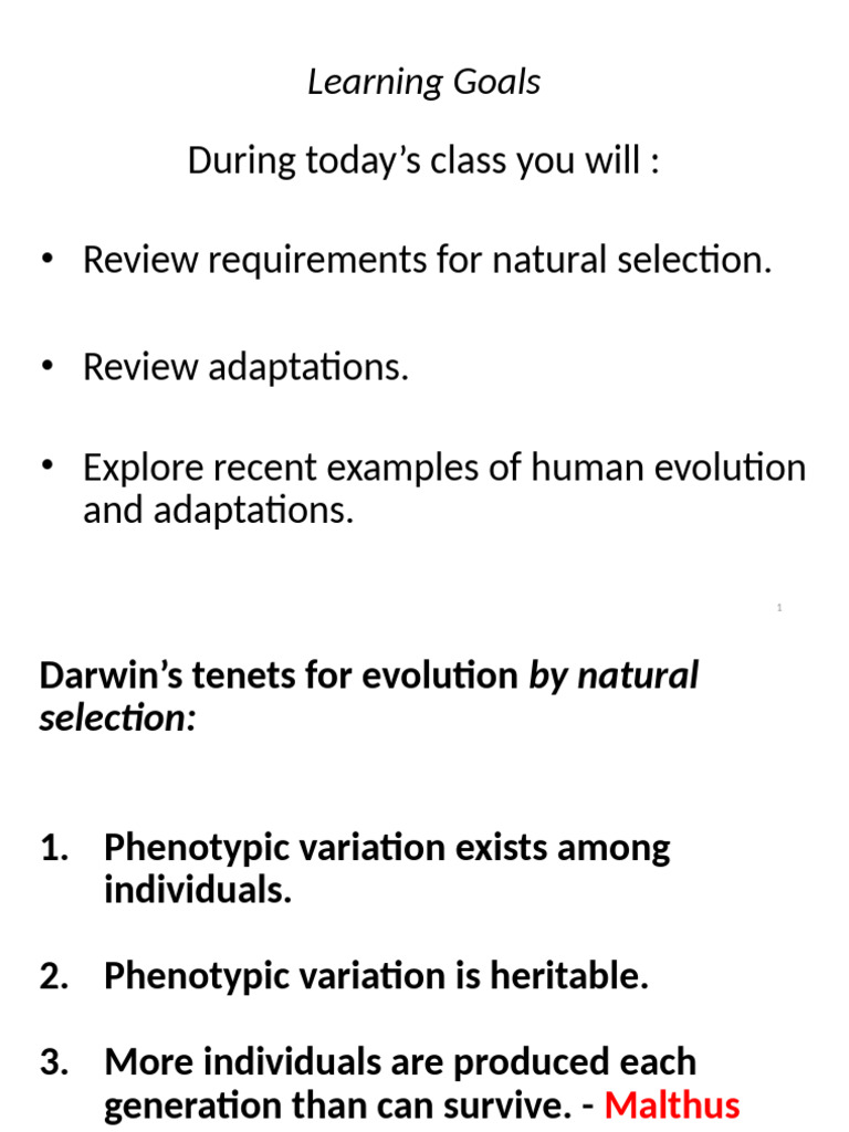 Class.20.Human - Evolution.JPB - Class.2 - Tagged | PDF | Homo | Natural Selection