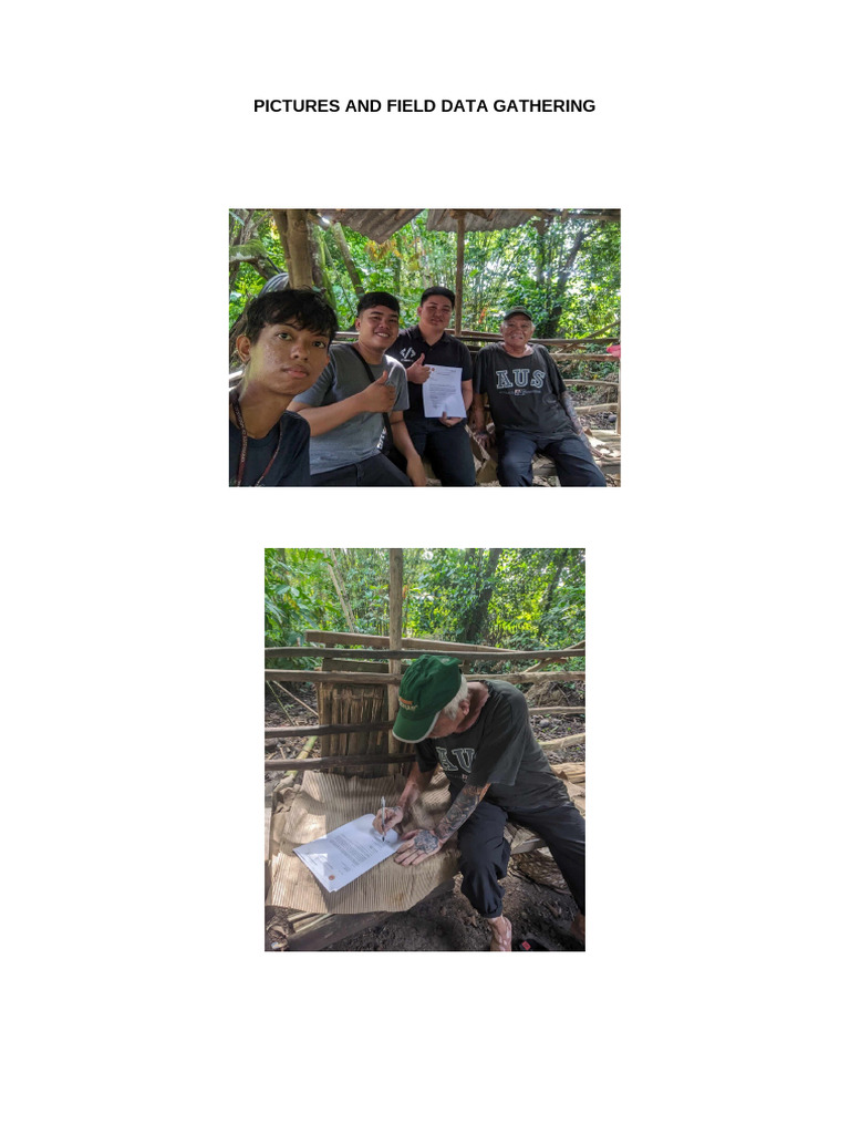 Pictures and Field Data Gathering | PDF