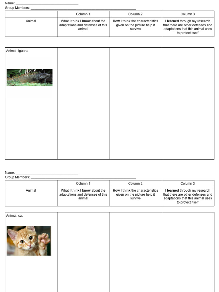 Animal Adaptations Research | PDF | Organisms | Animal Taxa