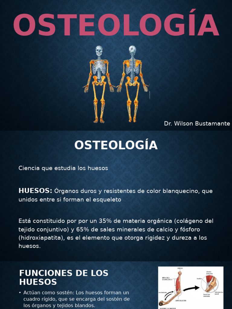 OSTEOLOGÍA | PDF | Articulación | Hueso