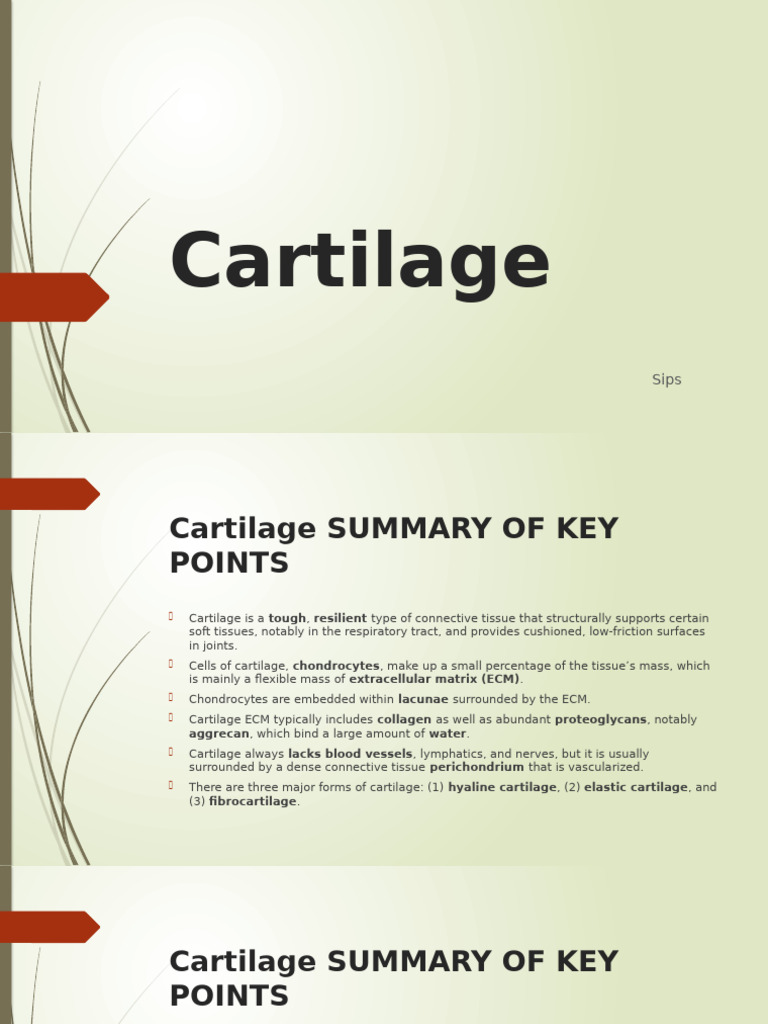 Cartilage | PDF | Cartilage | Extracellular Matrix