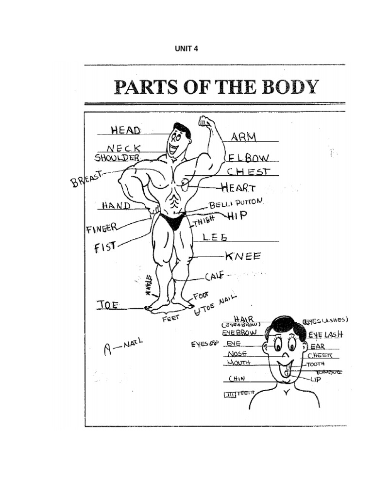 Unit 4 English 2 | PDF