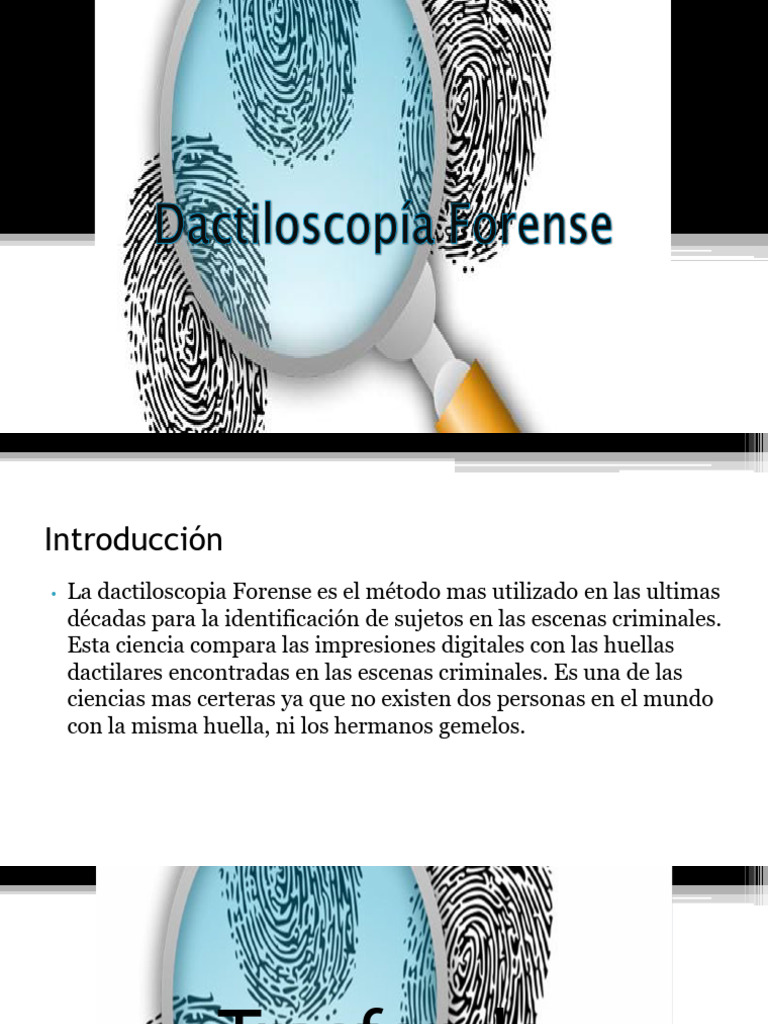 Dactiloscopia Forense: Métodos y Técnicas | PDF | Huella dactilar