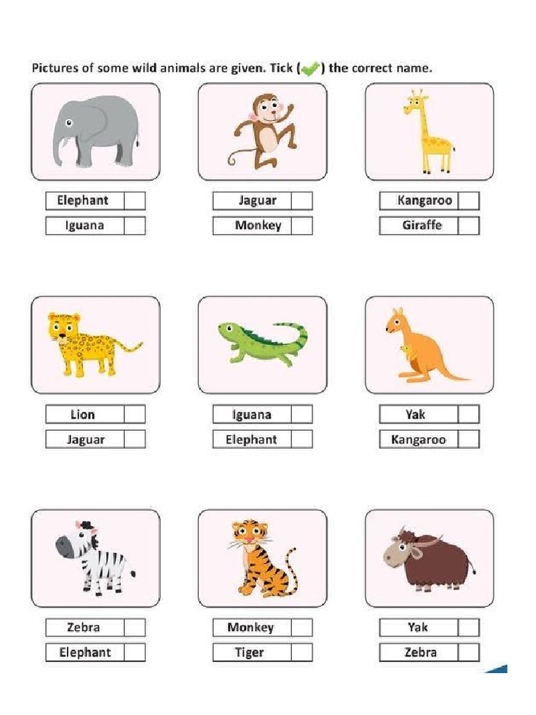 Wild Animals 3 | PDF