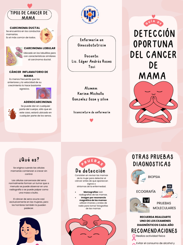 Cáncer de Mama Inflamatorio: Guía Visual | PDF | Cáncer de mama | Cáncer