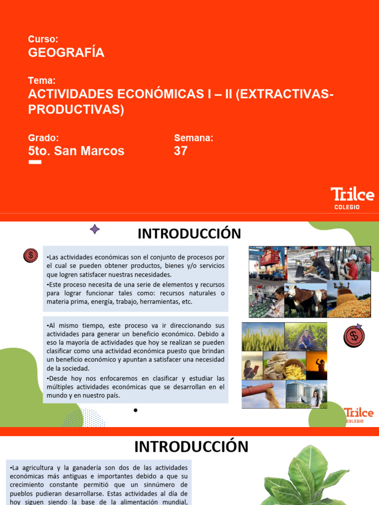 Actividades Económicas: Extractivas y Productivas | PDF | Minería ...
