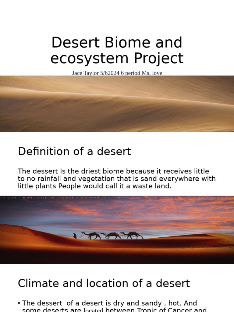 Desert Biome Ecosystem Overview | PDF