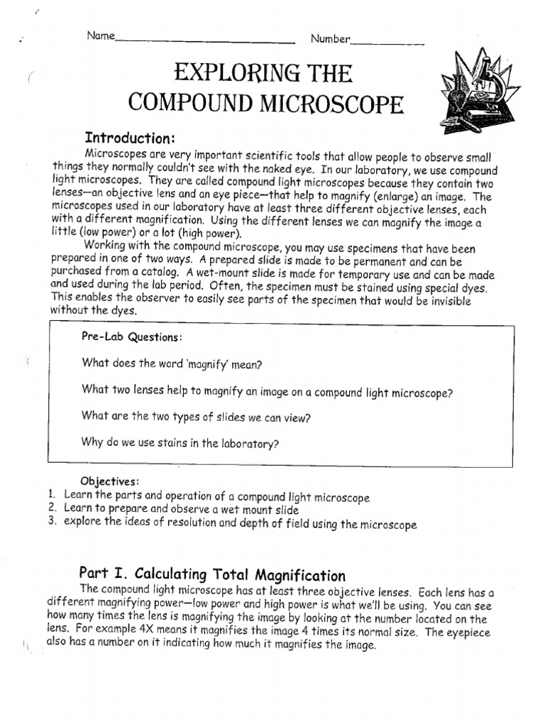 Explore The Compound Microscope (Bio) | PDF