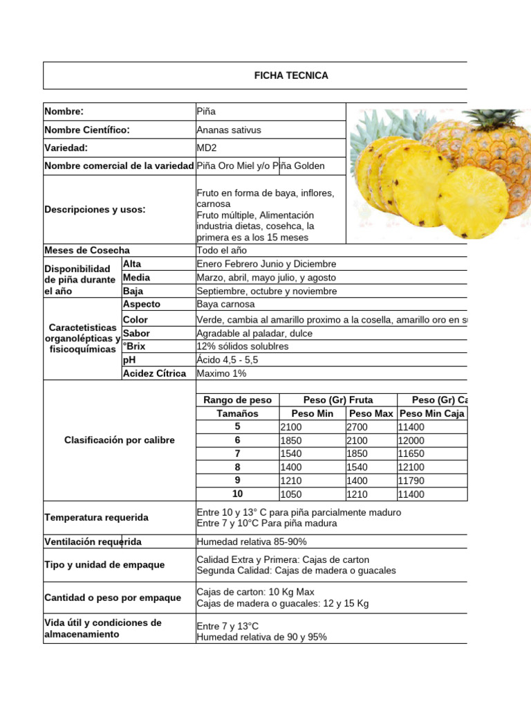 Ficha Técnica de Piña MD2 | PDF | Piña | Fruta