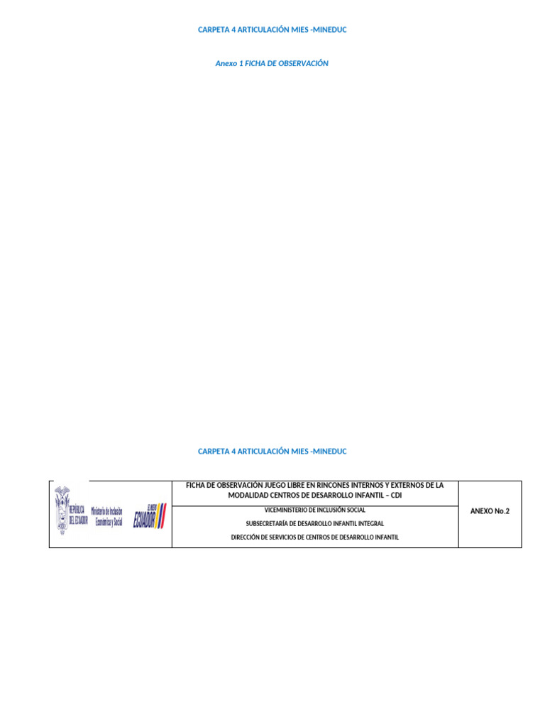carpeta_4_Anexo_1_FICHA_DE_OBSERVACION[1] | PDF