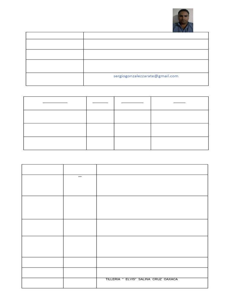 Curriculum Vitae Sergio | PDF