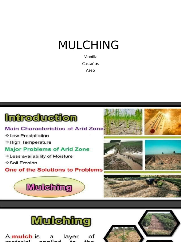 MULCHING | PDF