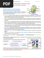 El Saco Dural Humano | PDF | Médula espinal | Anatomía