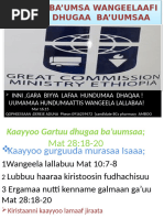 Tamsaasa Wangeelaa 1 | PDF