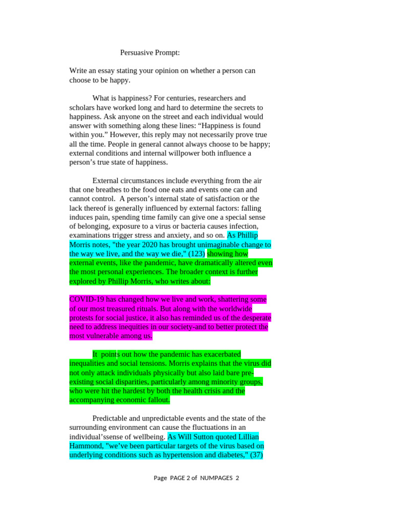(Brittany.) Persuasive Essay Happiness Sans Research Examples | PDF ...