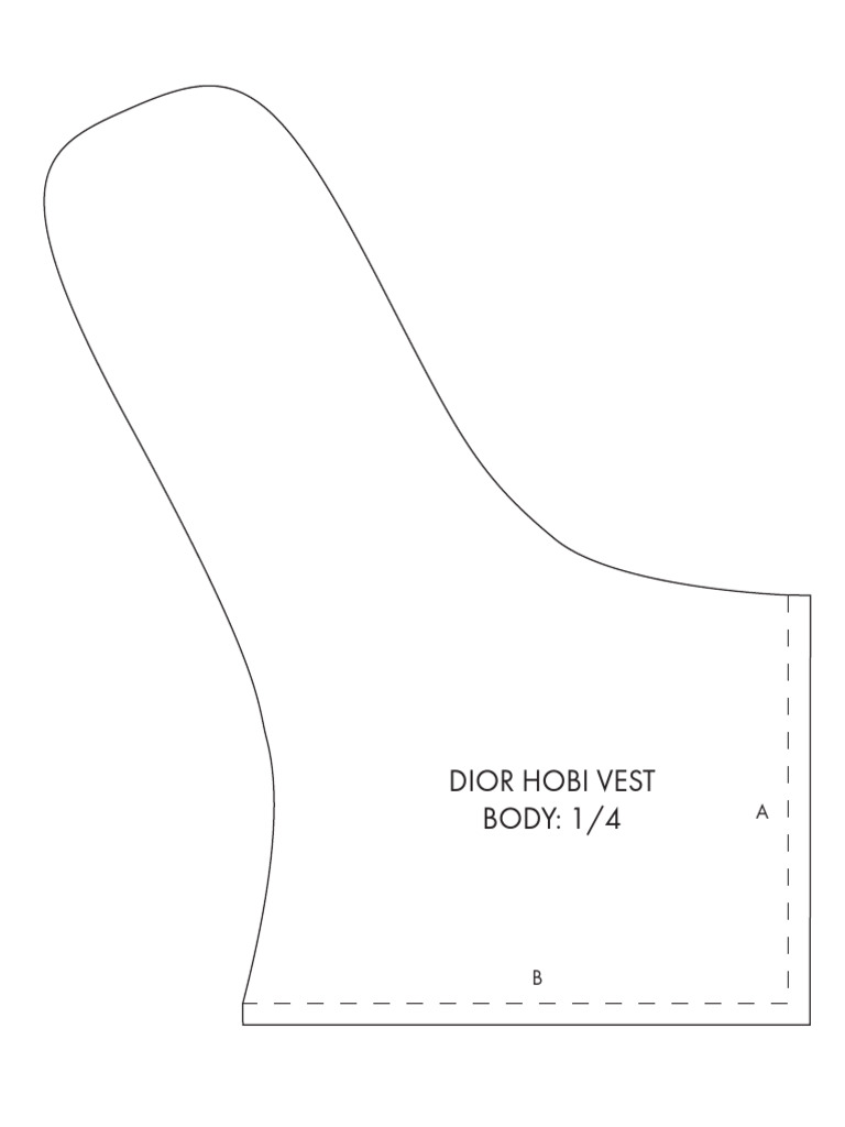 Dior Hobi Vest Overview | PDF