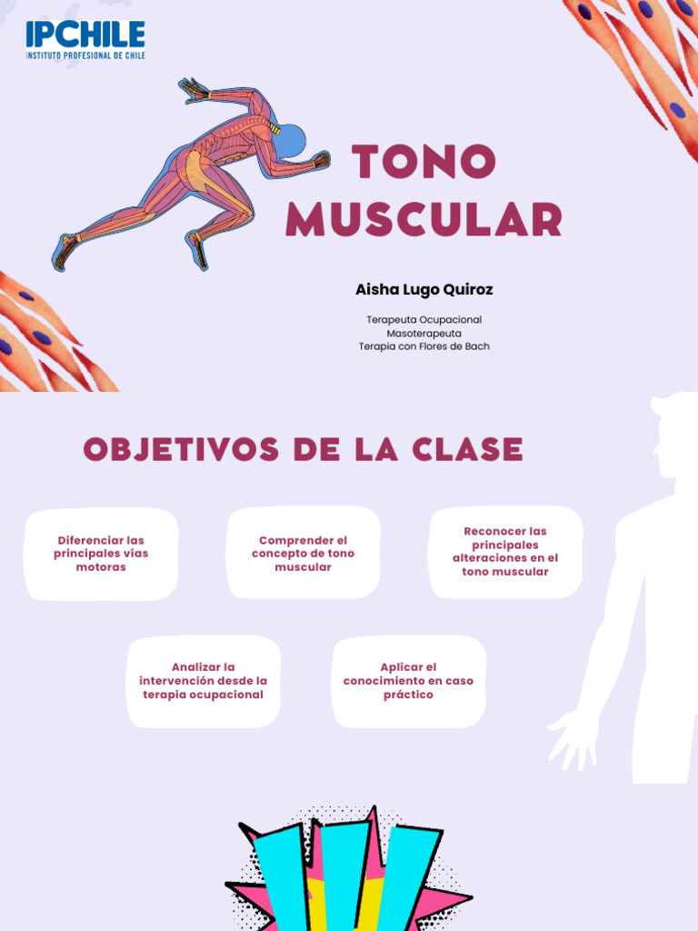 Tono Muscular: Definición y Alteraciones | PDF | Sistema nervioso | Músculo