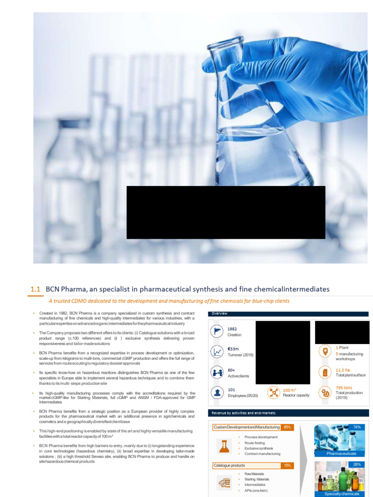 Case 1 - MA Javier Moreno - Project Zeus - InfoMemo | PDF | Chemical ...