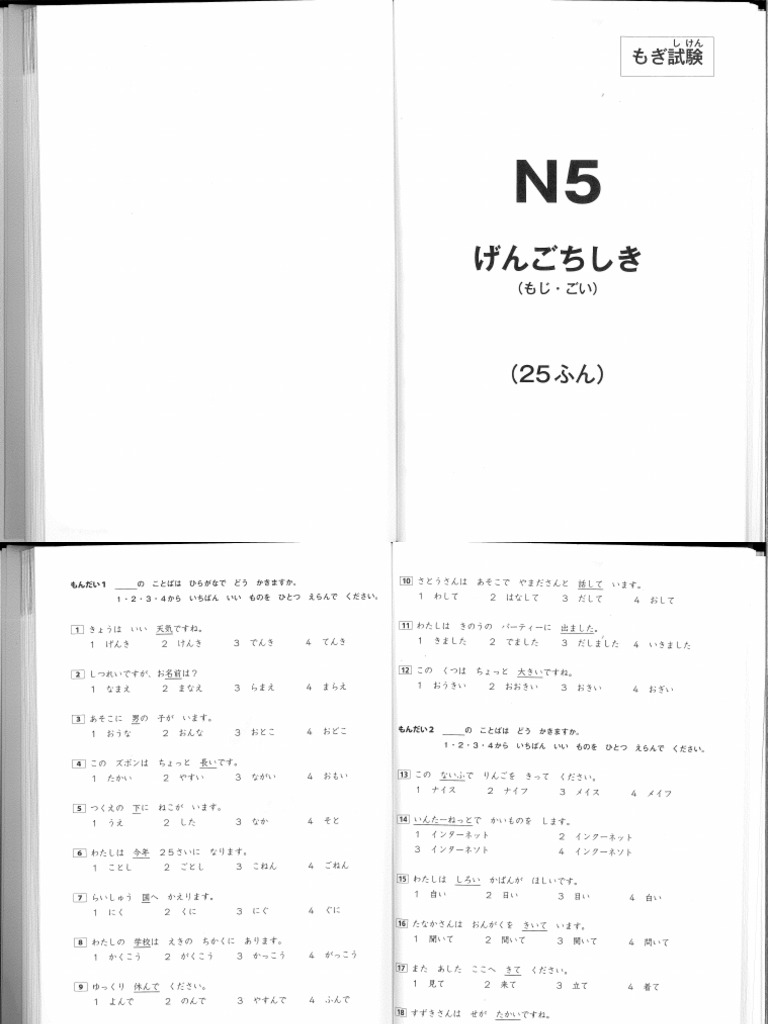 Try! N5 | PDF