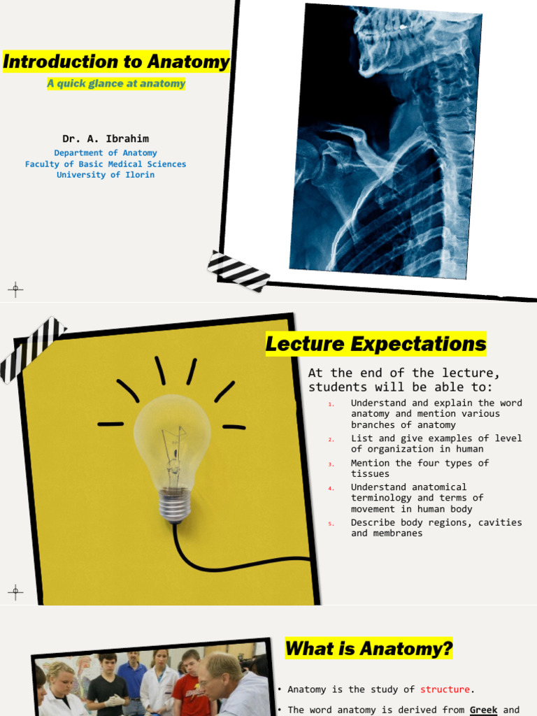 ANA 201_lect one | PDF | Anatomical Terms Of Motion | Anatomical Terms Of Location